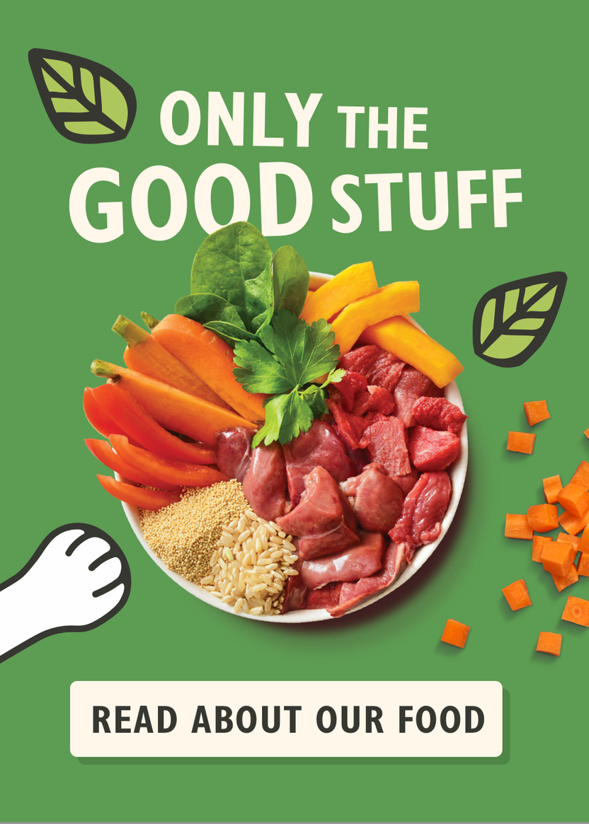 Wet Dog Food: Healthy & Natural | Lily's Kitchen