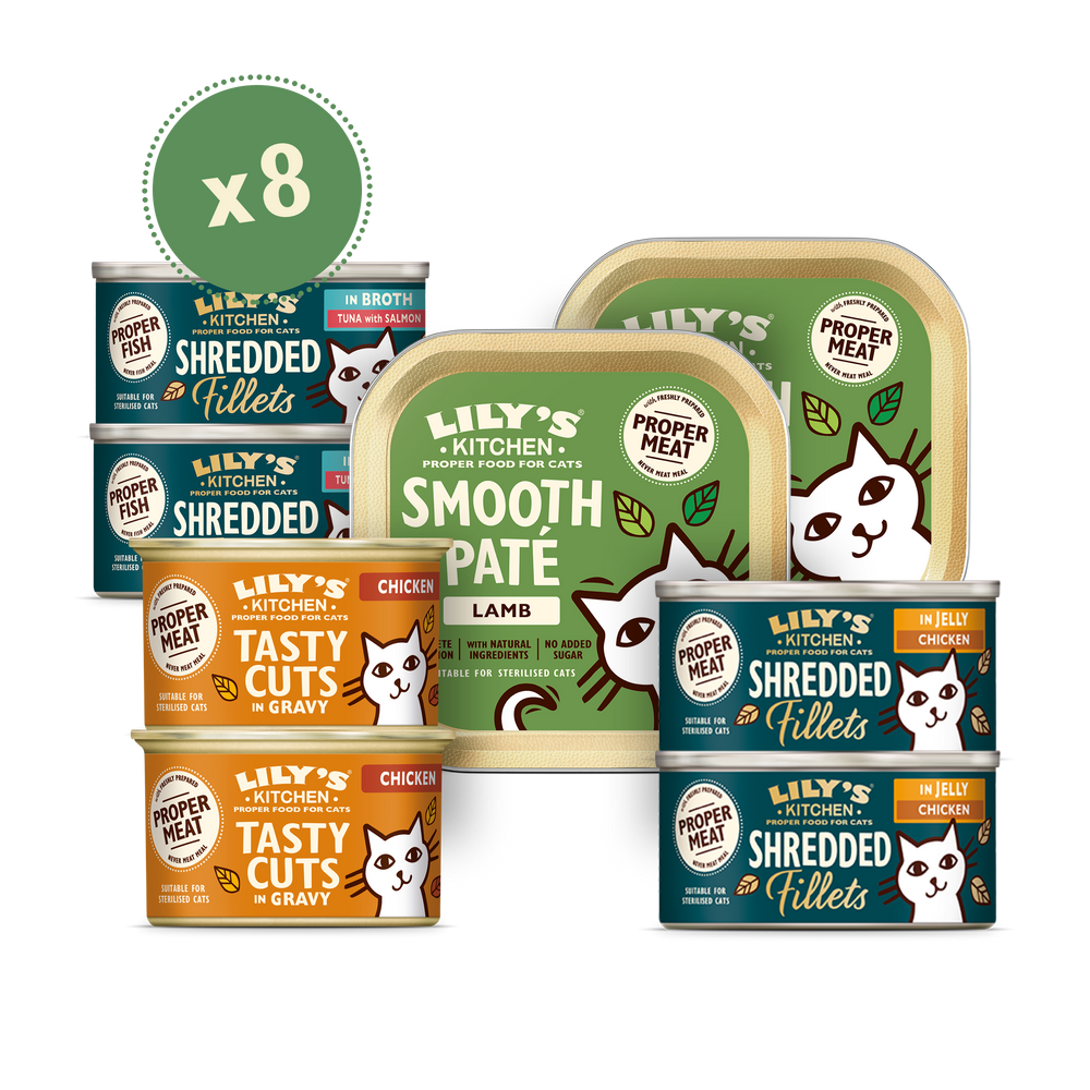 Wet Cat Food: Healthy & Natural Soft Cat Food | Lily's Kitchen