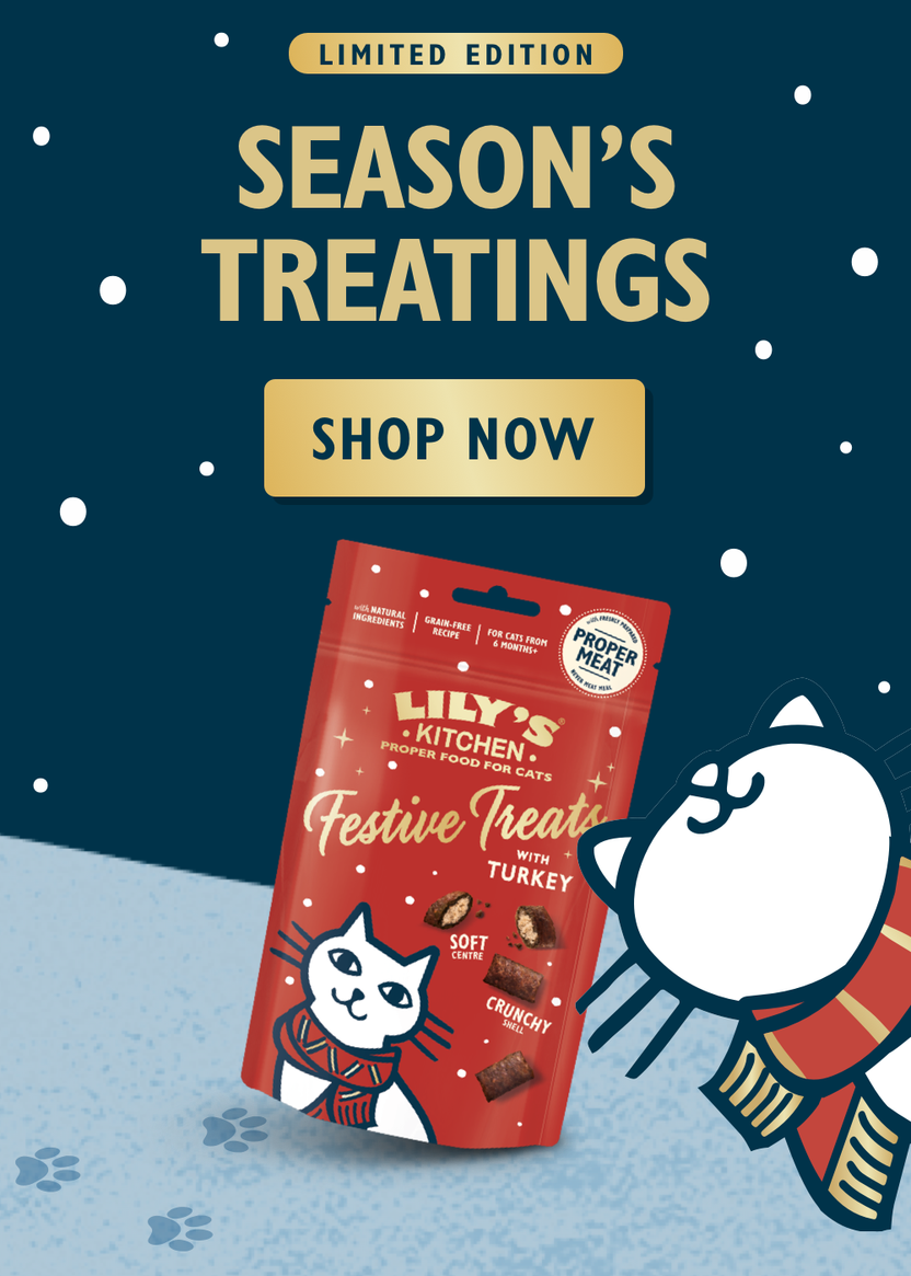 Christmas Dog and Cat Food and Treats | Lily's Kitchen