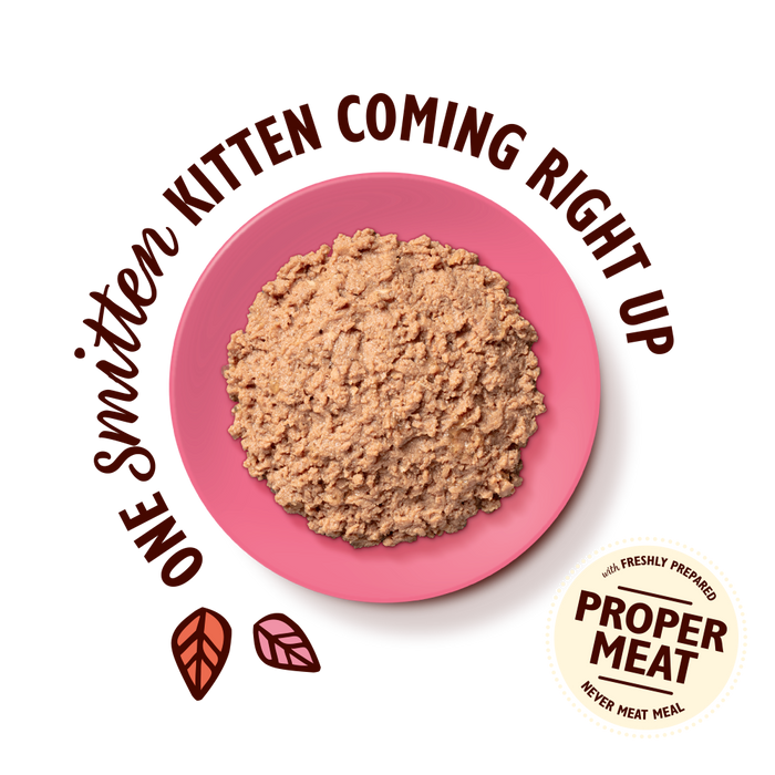 Chicken Paté for Kittens (19 x 85g) | Lily's Kitchen