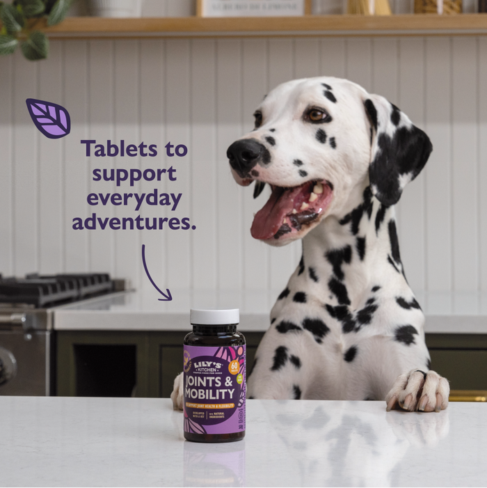 Joints & Mobility Supplements for Dogs (60 tablets)