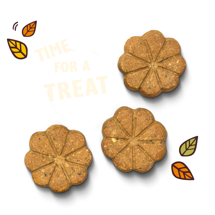 Breaktime Biscuits for Dogs (8 x 80g) | Lily's Kitchen