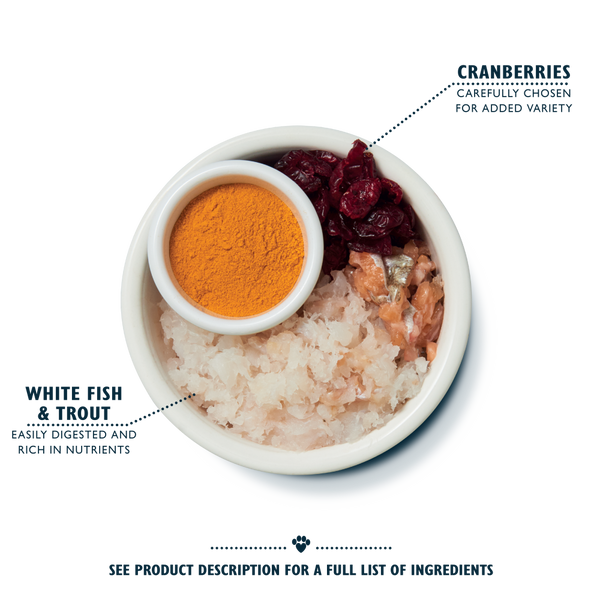 White Fish with Turkey & Trout Senior Dry Food (800g) | Lily's Kitchen